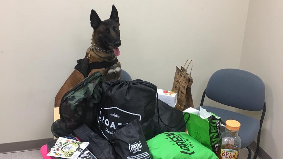 Exclusive Rocket The K9 Helps Dea Busts Marijuana Smuggler At The