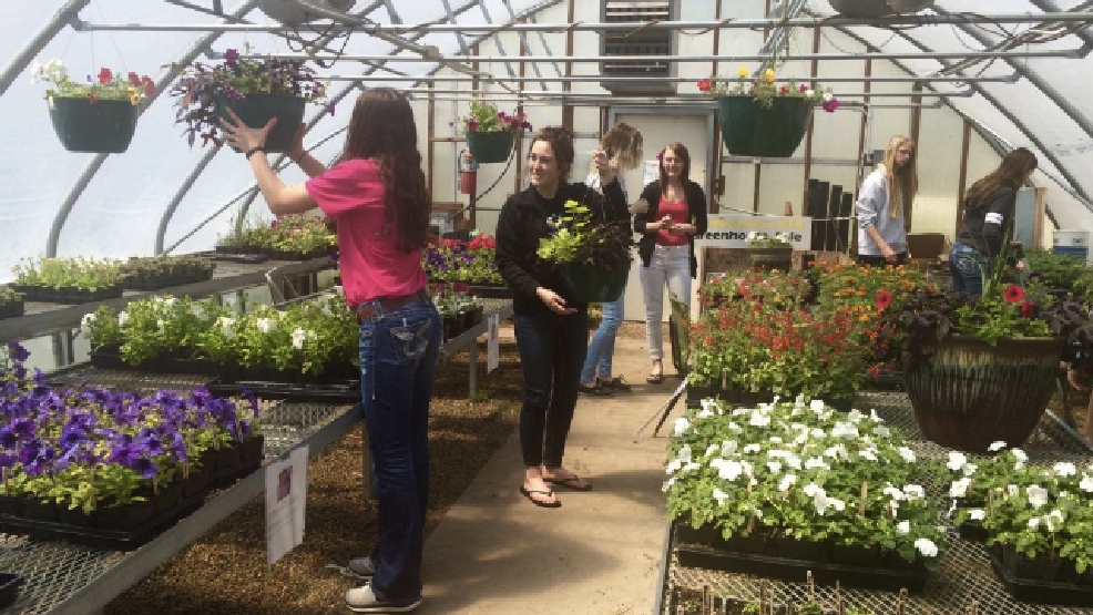 High school greenhouse plant sale teaches practical skills | KHQA