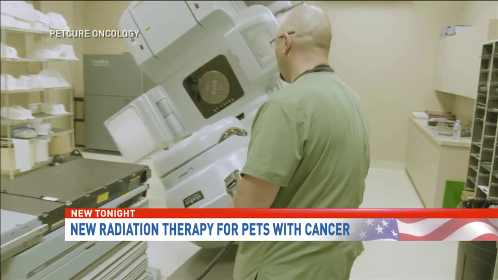 Doctor discusses new radiation therapy for pets with cancer | WHP