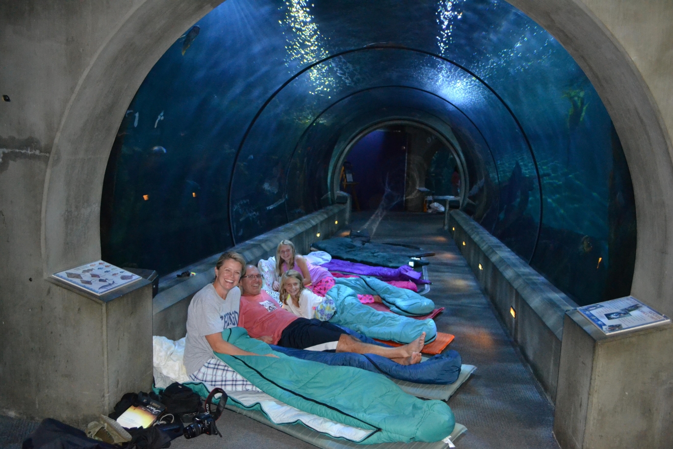 Oregon Coast Aquarium gets re-certified as accredited aquarium | KATU